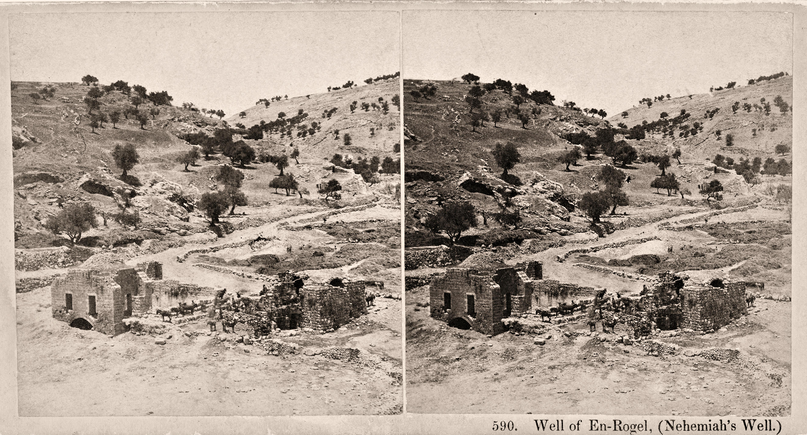 Solomon’s Accession – Charles E. McCracken Ministries